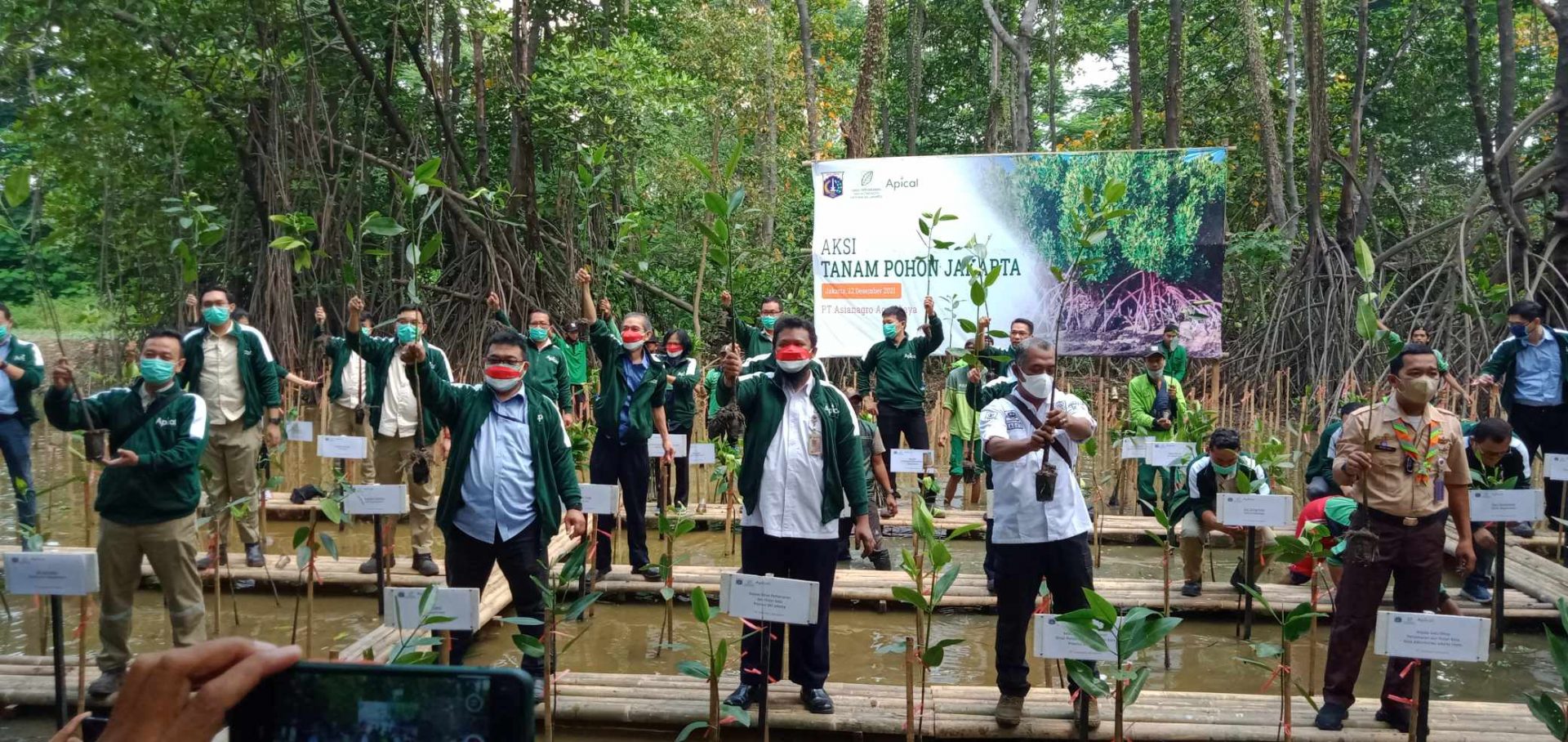 Apical Group Gandeng Pemerintah Selamatkan Mangrove di DKI Jakarta